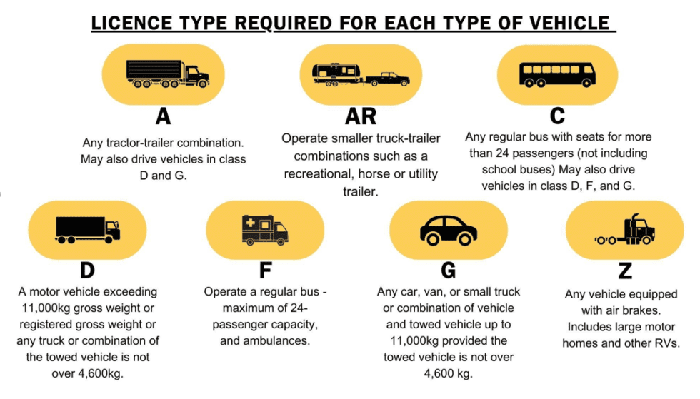 Commercial Driver Training And Licensing | KnowledgeSurge